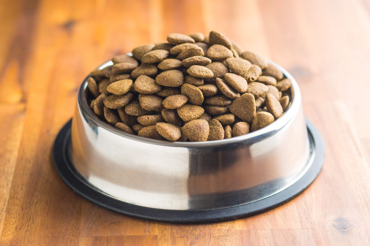 Alimentation barf, ration crue et conseils vétérinaires chez un Basset ...